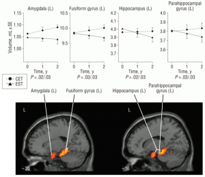 Evidence Base | Cognitive Enhancement Therapy